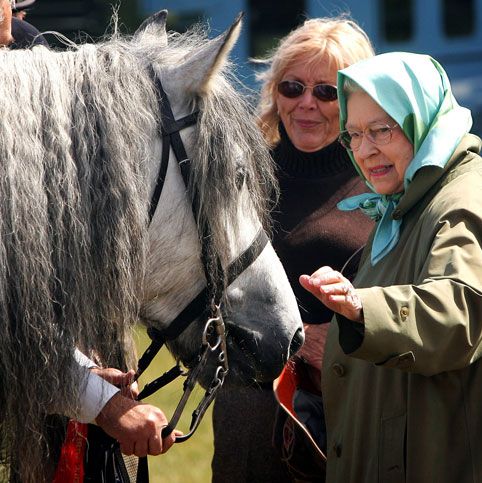 See Queen Elizabeth With Corgis, a Panda, Elephants, and Other Animals