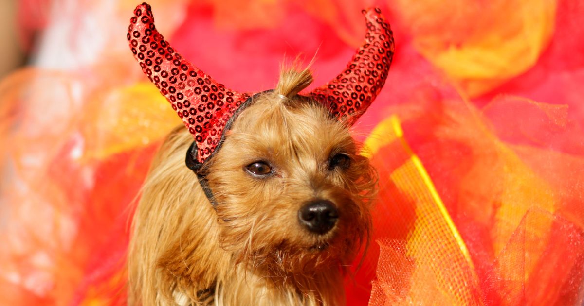 The Best 2018 NYC Halloween Parties