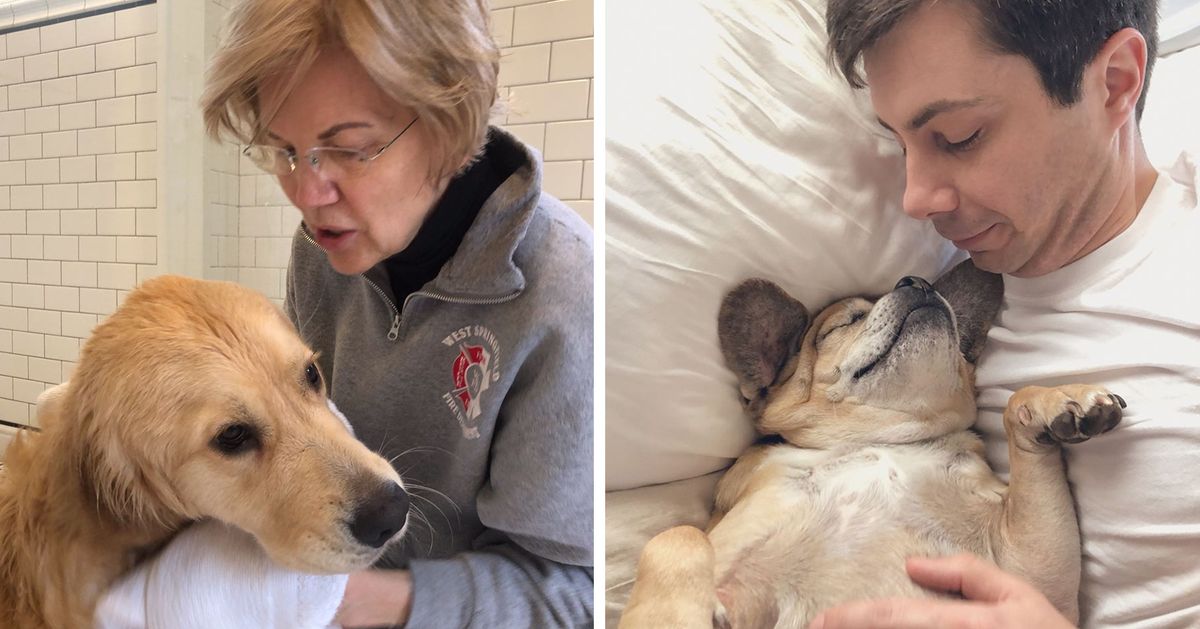 Who’s Leading the 2020 Democratic Puppy Primary?