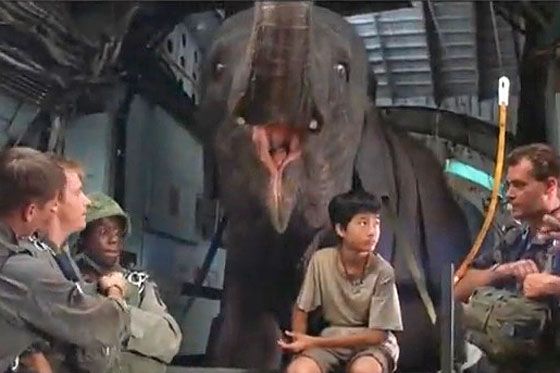 Get to Know the Real Star of Water for Elephants, the Busiest Pachyderm ...