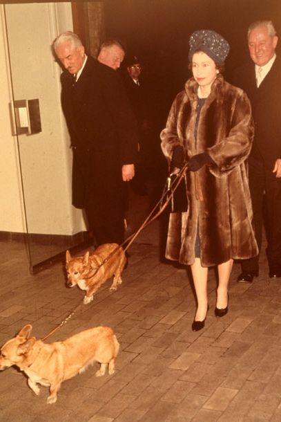 See Queen Elizabeth With Corgis, a Panda, Elephants, and Other Animals