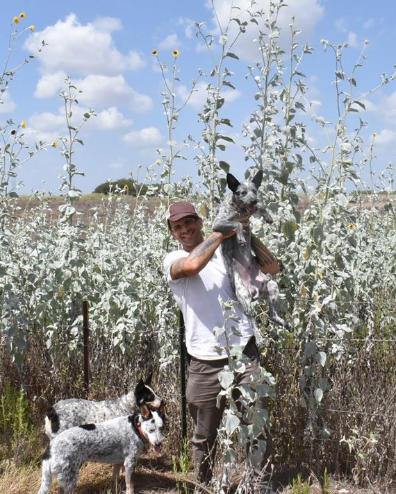 The Chicago Coyote Guy on the Story Behind That Viral Video