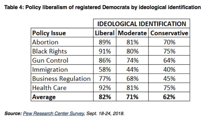 Democrats Disagree About Labels, Not So Much About Issues