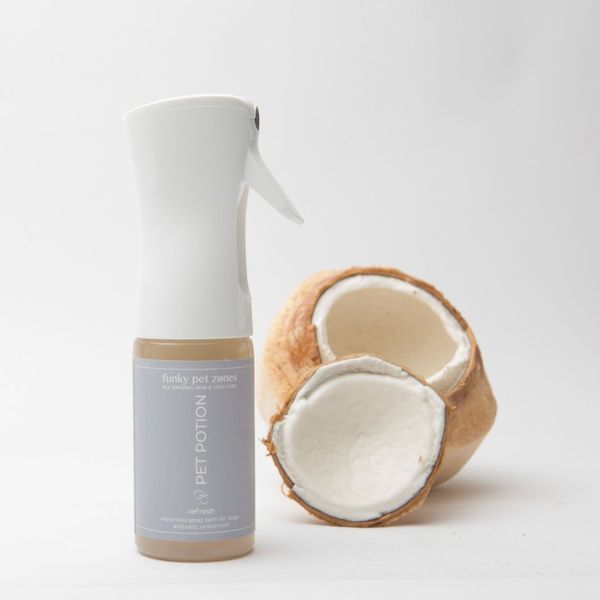 34 Best Pet-Safe Cleaning Products for Pet Messes 2021 | The Strategist