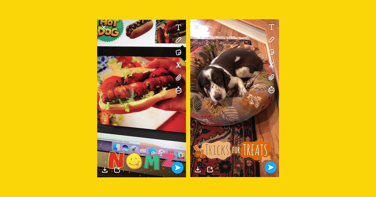 Snapchat Smart Filters Recognize Pets and Food