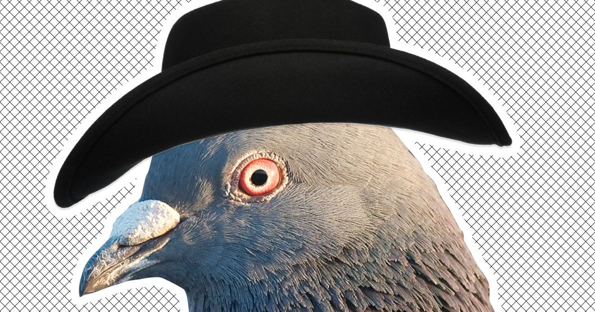 Someone Is Putting Tiny Cowboy Hats on Pigeons in Las Vegas