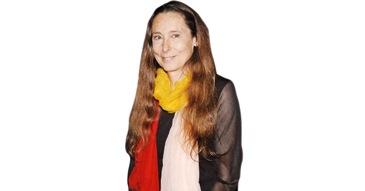 Ann Beattie on Her New Book, Mrs. Nixon: ‘It’s Really Out There, I’ll ...