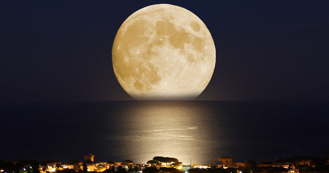 The Moon Had a Very Exciting 2020