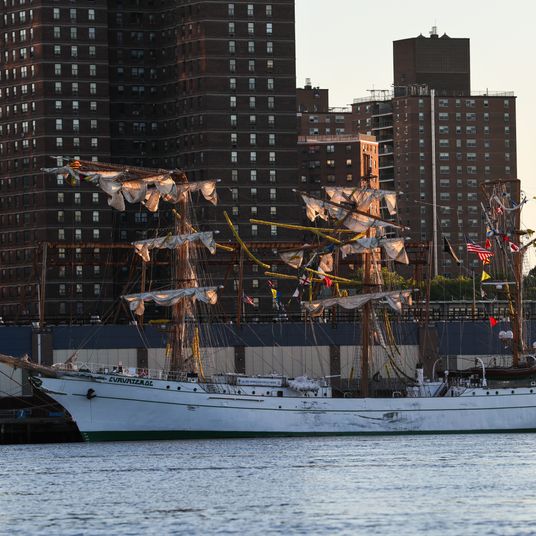 Inside the New Series ‘Boy Room,’ Hosted by Rachel Coster