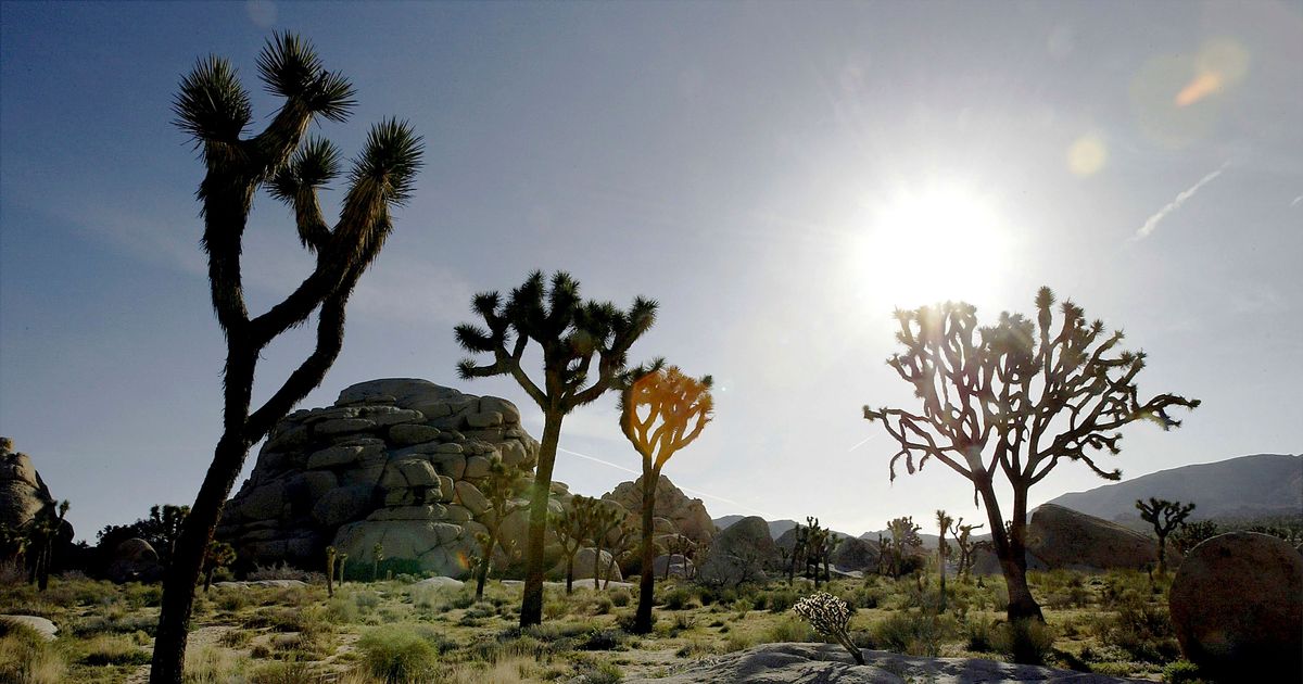 National Parks Trashed, Vandalized in Government Shutdown