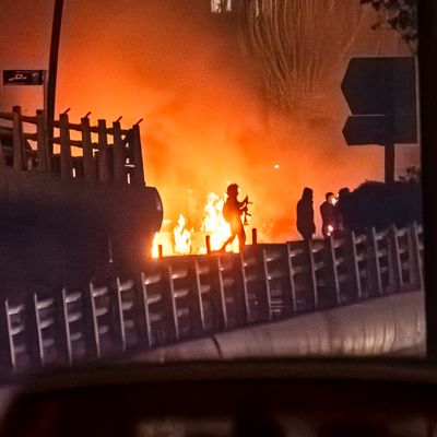 How Many Have Died in Iran’s Brutal Protest Crackdown?