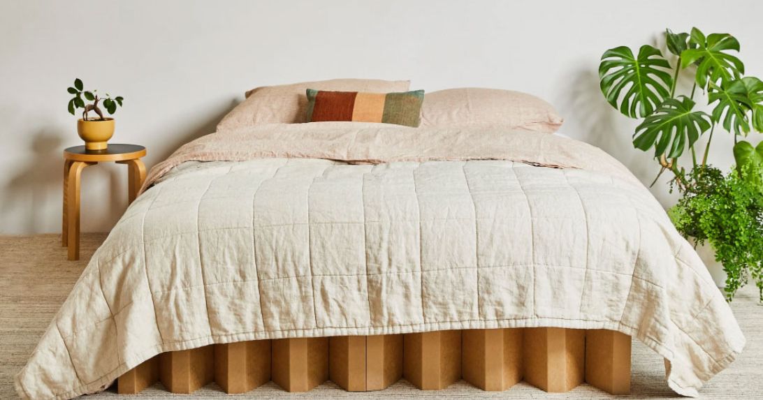 This Is My Cardboard Bed | The Strategist