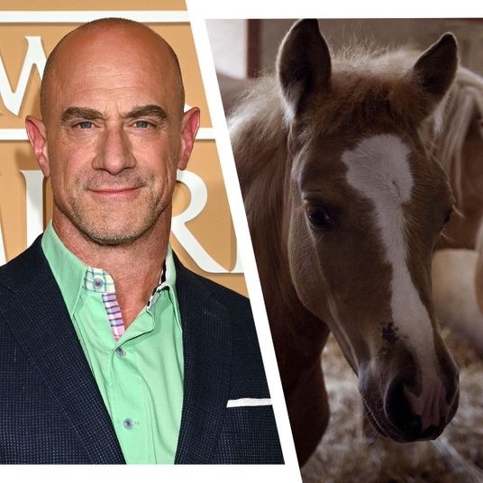 The History of New York Scandals - Frederick Cook's Faked North Pole ...