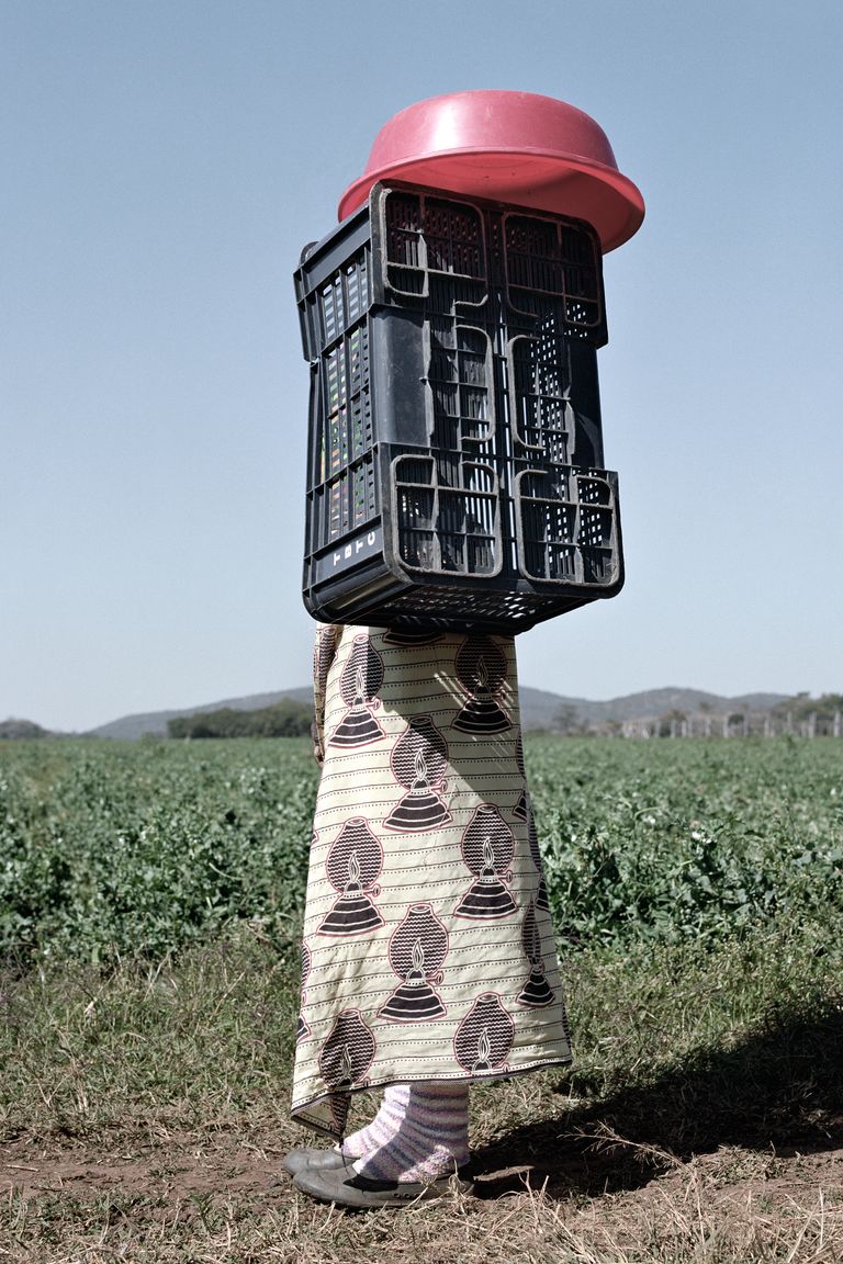 See a Gallery of Jackie Nickerson’s Striking Photo Series ‘Terrain ...