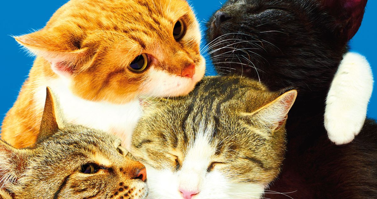 How Being in a Polyamorous Relationship Works