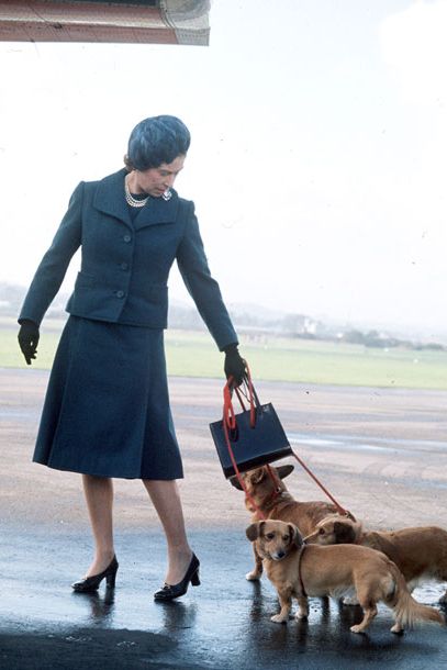 See Queen Elizabeth With Corgis, a Panda, Elephants, and Other Animals