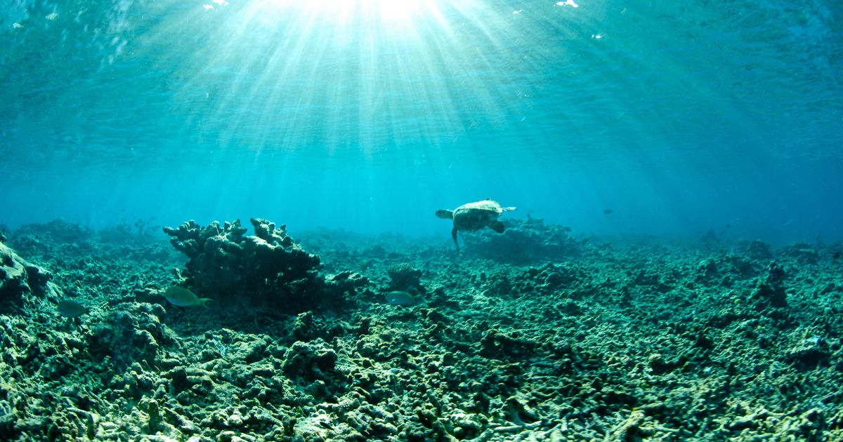 Climate News: We’re Boiling the Ocean Faster Than We Thought