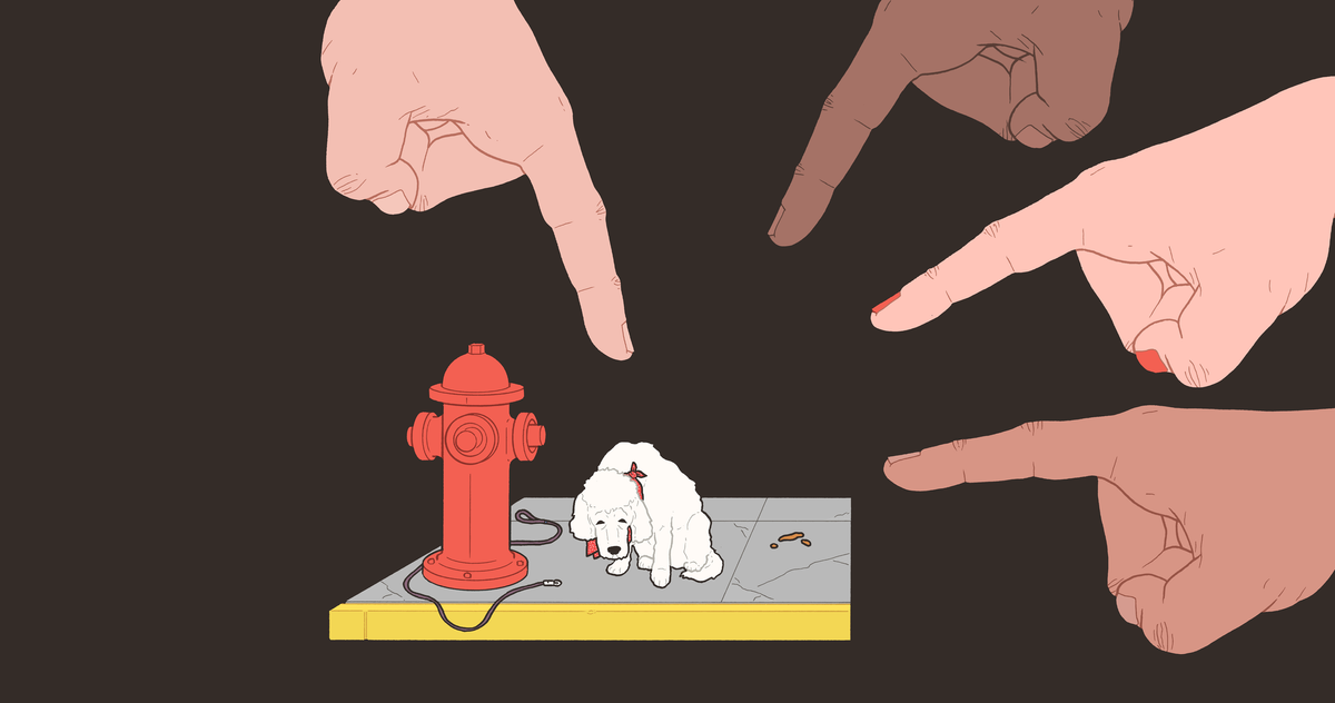 Why Do People in NYC Hate My Dog?