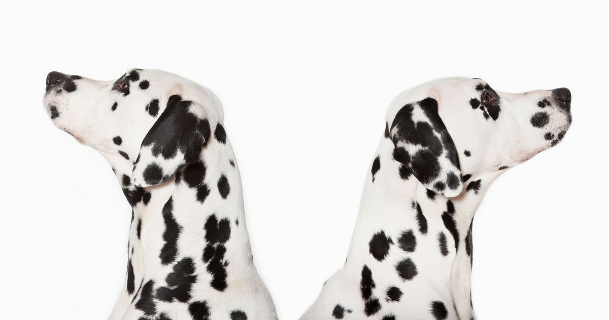 How to Spot Frenemies: 9 Ways to Tell You Have a Frenemy