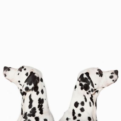 How to Spot Frenemies: 9 Ways to Tell You Have a Frenemy