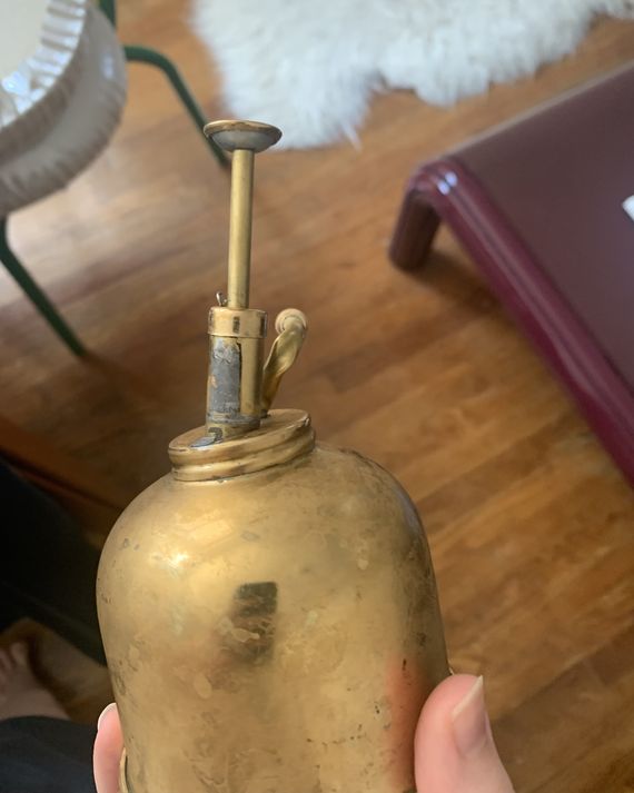 5 Best Plant Misters 2024 | The Strategist