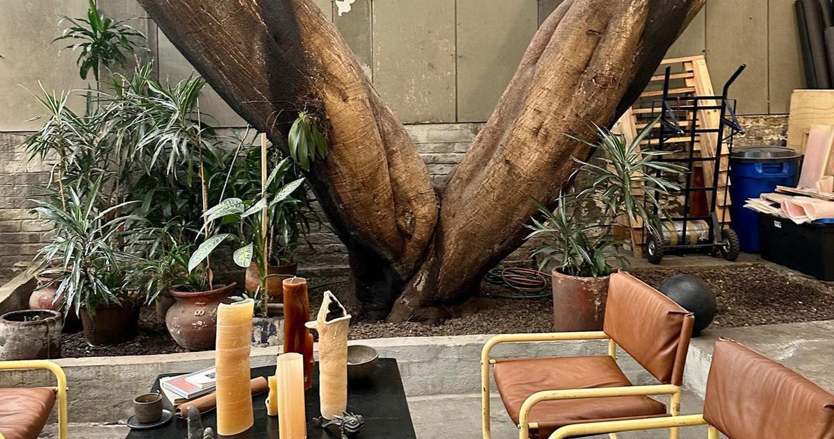 A Mexico City Home Studio With a Tree Growing in the Middle