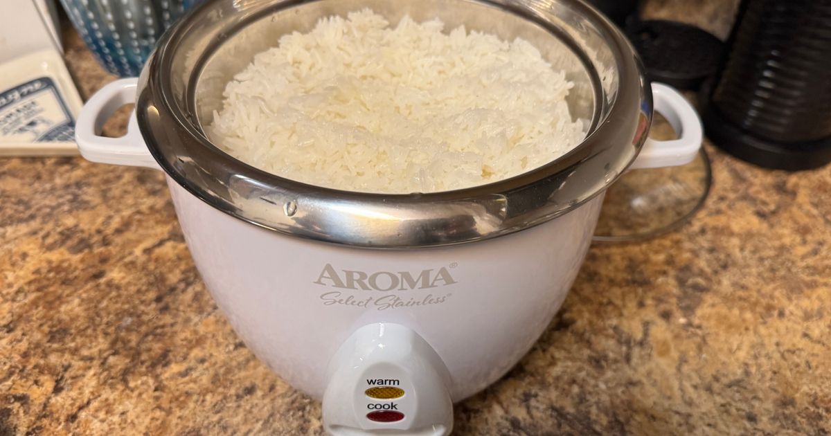 I Finally Found a Plastic-Free Rice Cooker | The Strategist