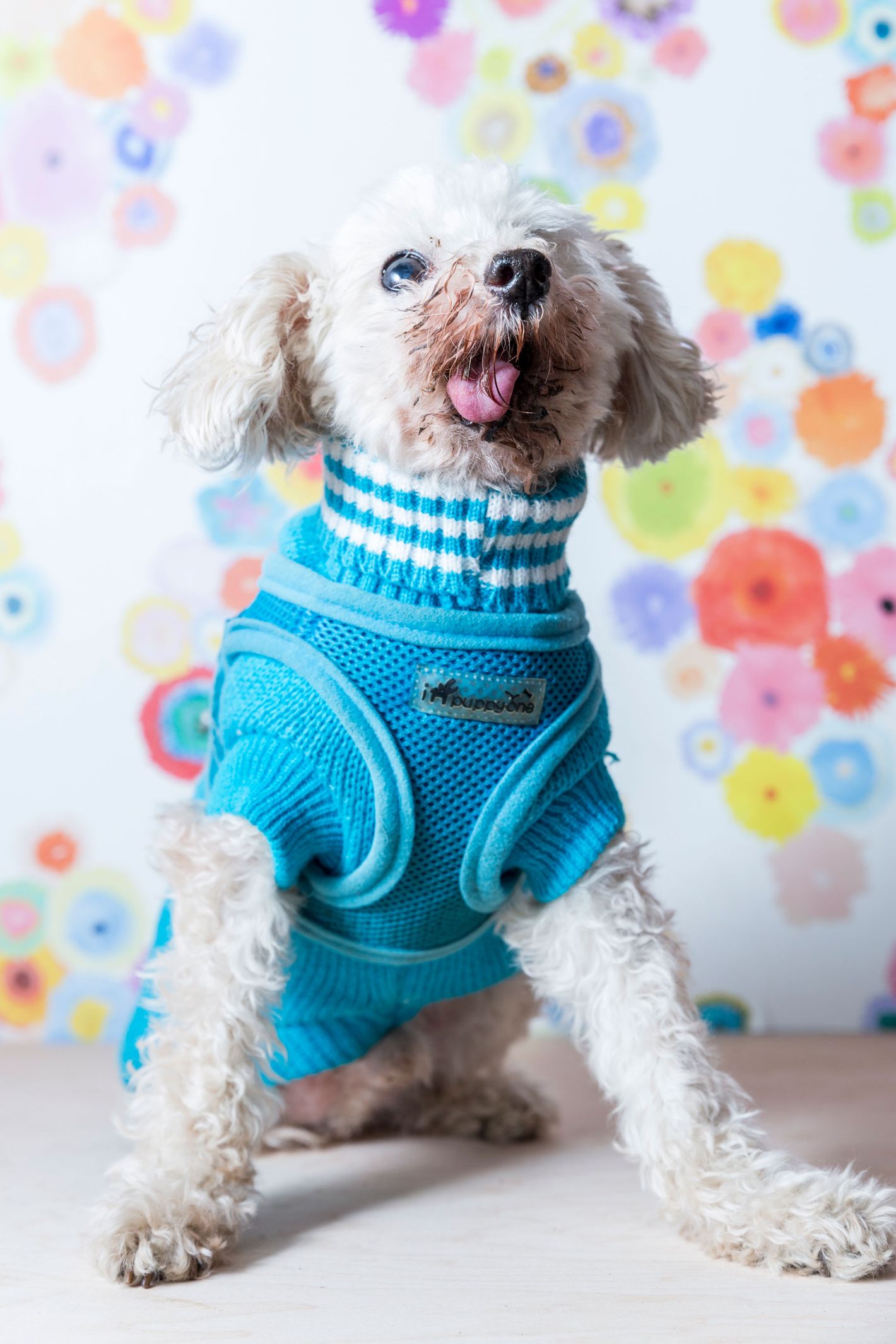 Boris & Horton Opens in NYC