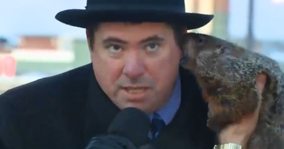 Grouchy Groundhog Bites Wisconsin Mayor’s Ear