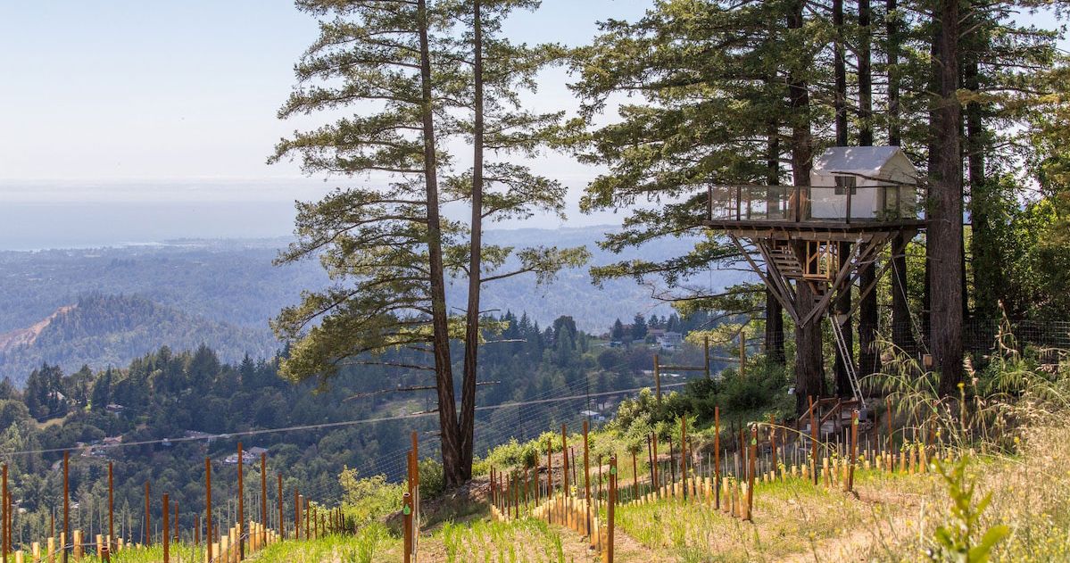 Vacation Rentals: The Best Tree Houses to Rent Now