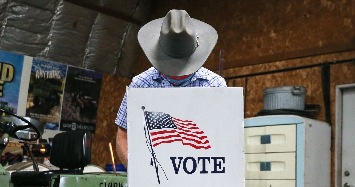How Wrong Were Political Polls in 2020?