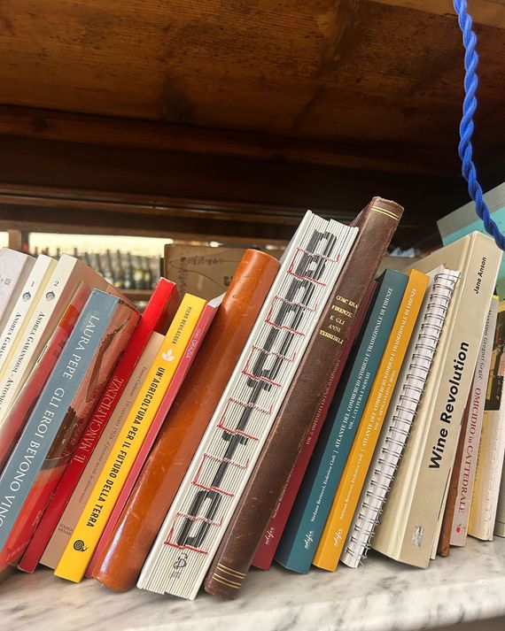 On My Mind: Rare Merrells and Bombshell Hair Mousse | The Strategist