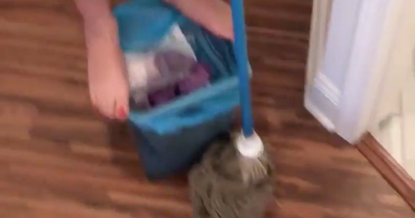 Video of Girls Sweeping Rat Out of Bathroom