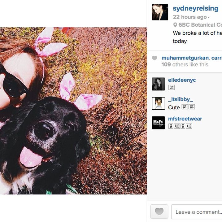 The Cut’s 50 Fashion Social Media Voices to Follow