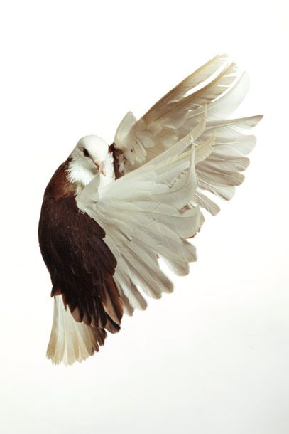 Photographer Roe Ethridge on Shooting for Dazed & Confused, Kenzo, and ...