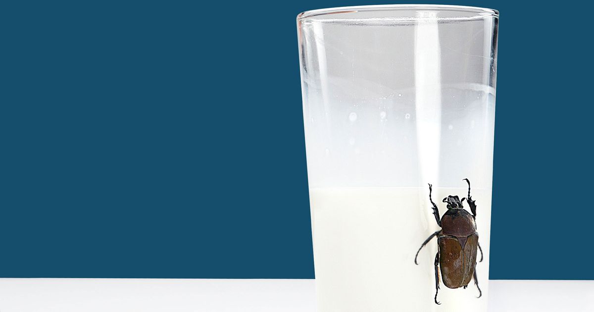 Cockroach Milk Is the New Healthy Milk