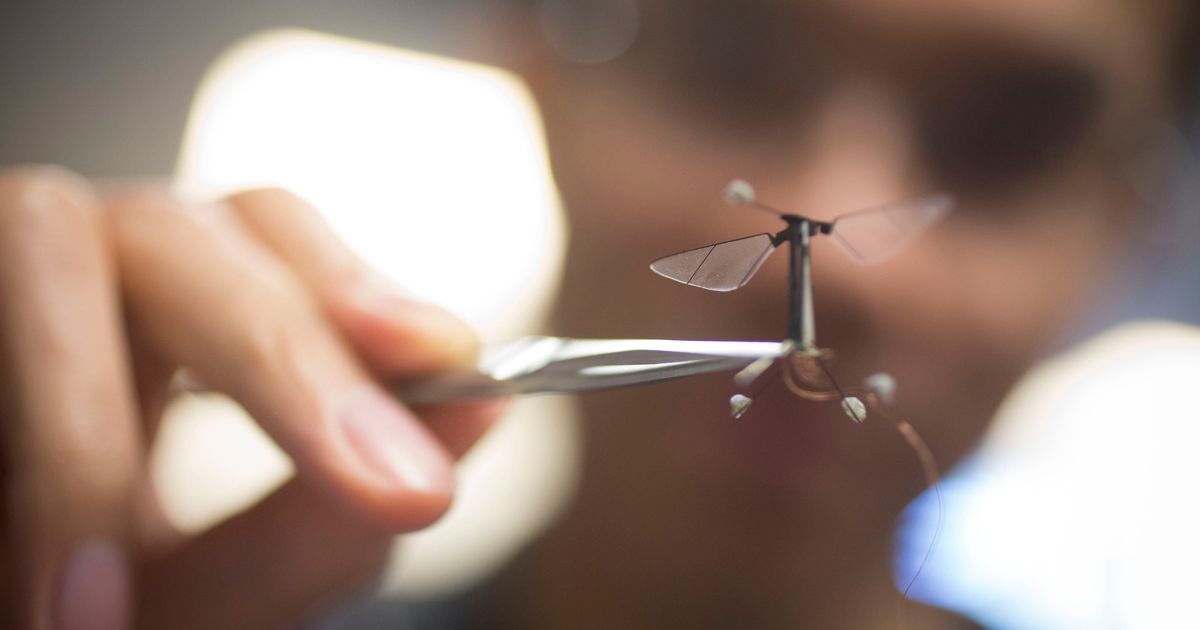 Researchers at Harvard Created a Robotic Bee