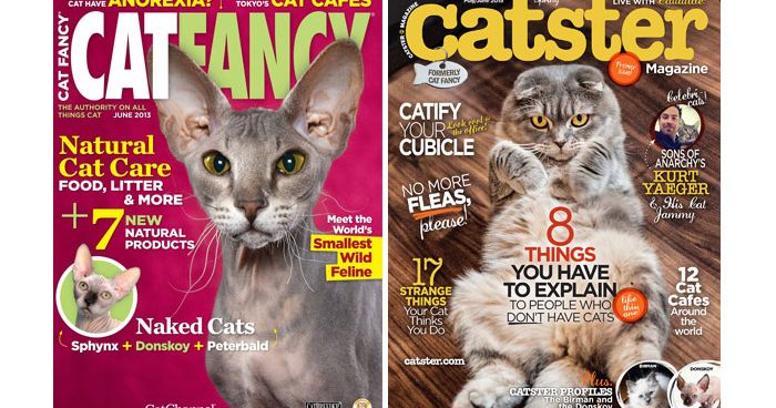 Who Killed Cat Fancy