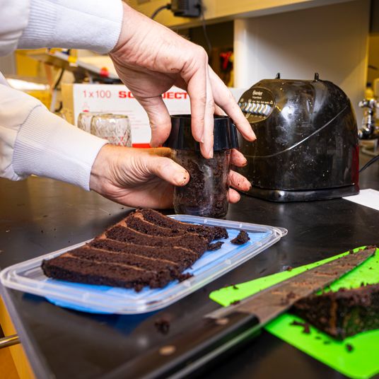 Sbarro’s Times Square Location Has Closed