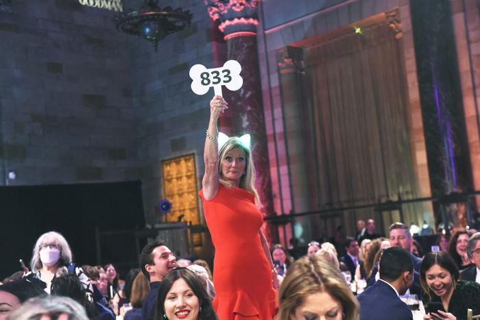 Inside the Humane Society’s 2022 To the Rescue! Gala