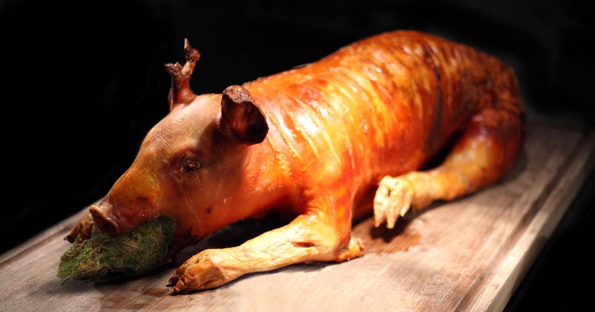 Seattle Butcher Claims Pigs Fed With Marijuana Make the Very Best ...