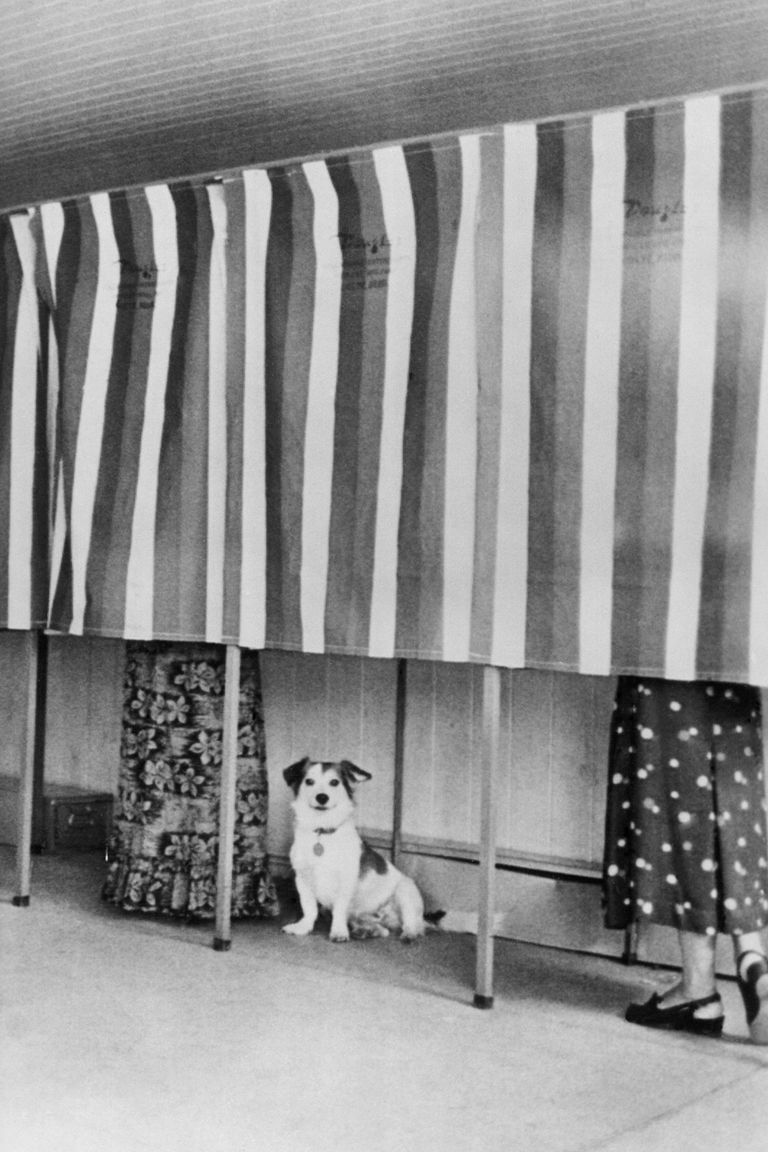 Ninety-Two Years of Women Voting, in Pictures