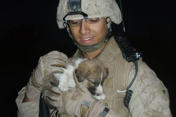 The Larry Ray Trial: Facts and Secrets