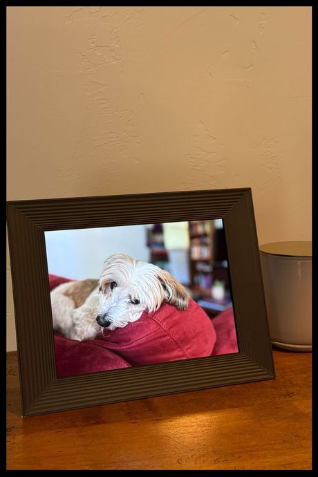 10 Best Digital Picture Frames 2025 | The Strategist