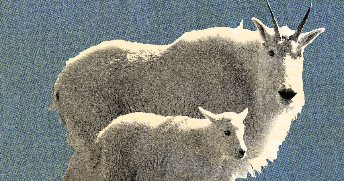 Finding Hope, As a Mom, After Donald Trump’s 2024 Reelection