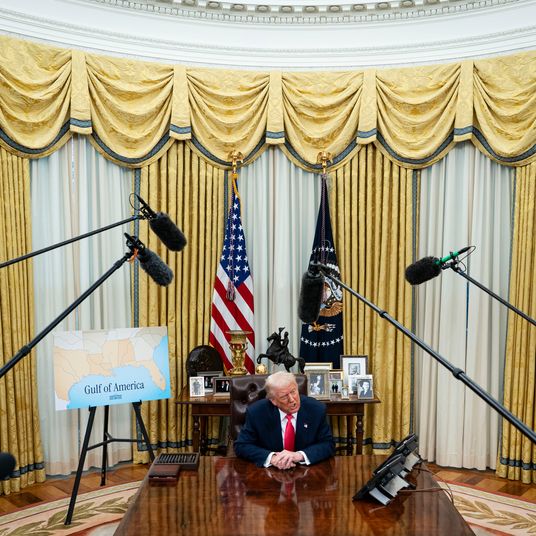 Bryan Gaw, A.K.A. Left Shark, Reveals His Super Bowl Secrets