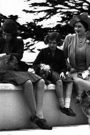 See Queen Elizabeth With Corgis, a Panda, Elephants, and Other Animals
