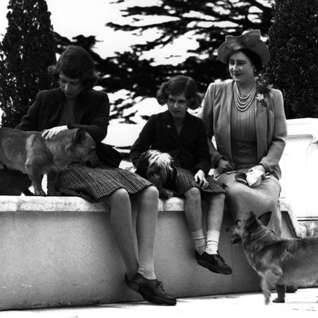 See Queen Elizabeth With Corgis, a Panda, Elephants, and Other Animals