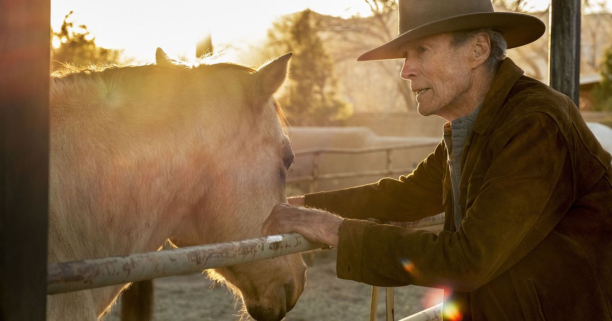 Movie Review: Clint Eastwood’s Cry Macho, on HBO Max