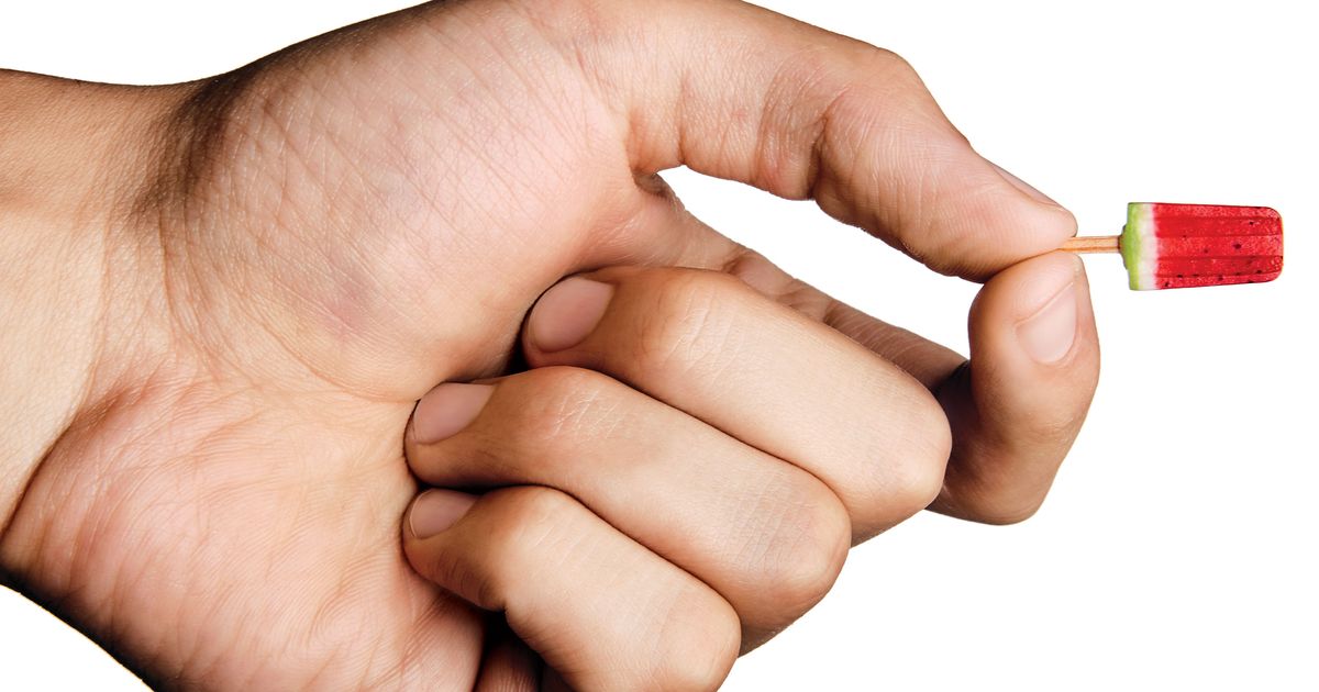 The Everything Guide to Mini Mania